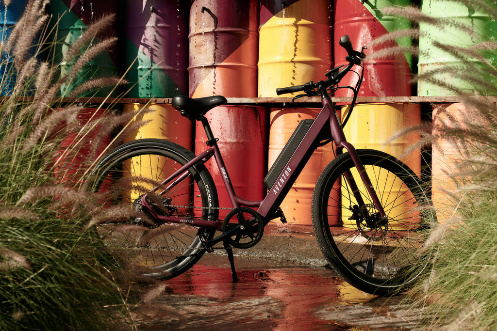 Electric Assist Bike: The Ultimate Guide | Aventon